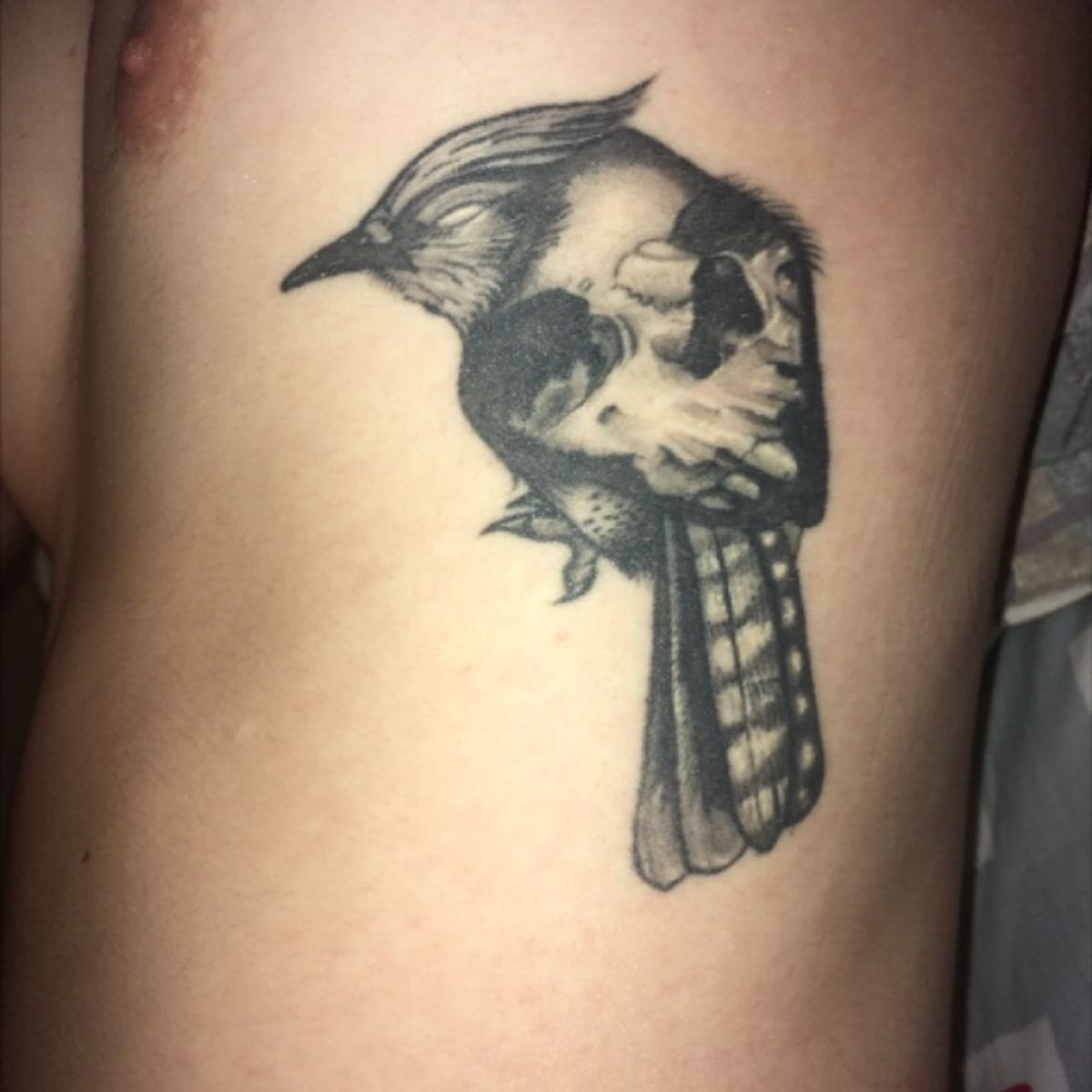 Tattoo uploaded by Luis Cisneros • #skull #bird #blackwork • Tattoodo