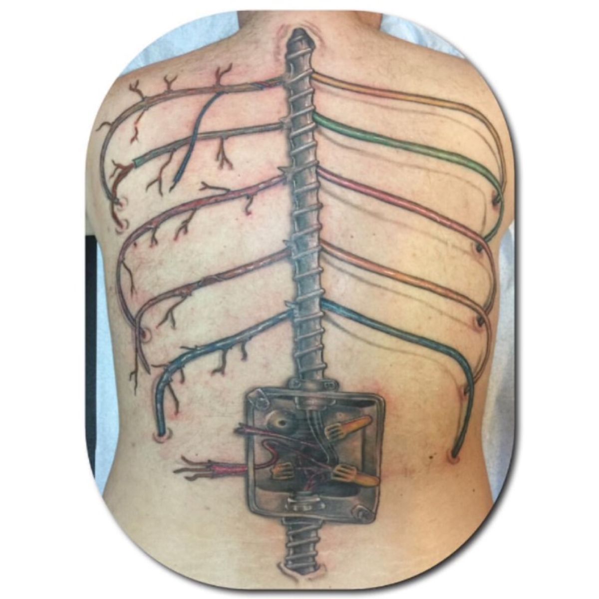 Tattoo uploaded by Dominic F. Marceau • A visualization of my MS ...