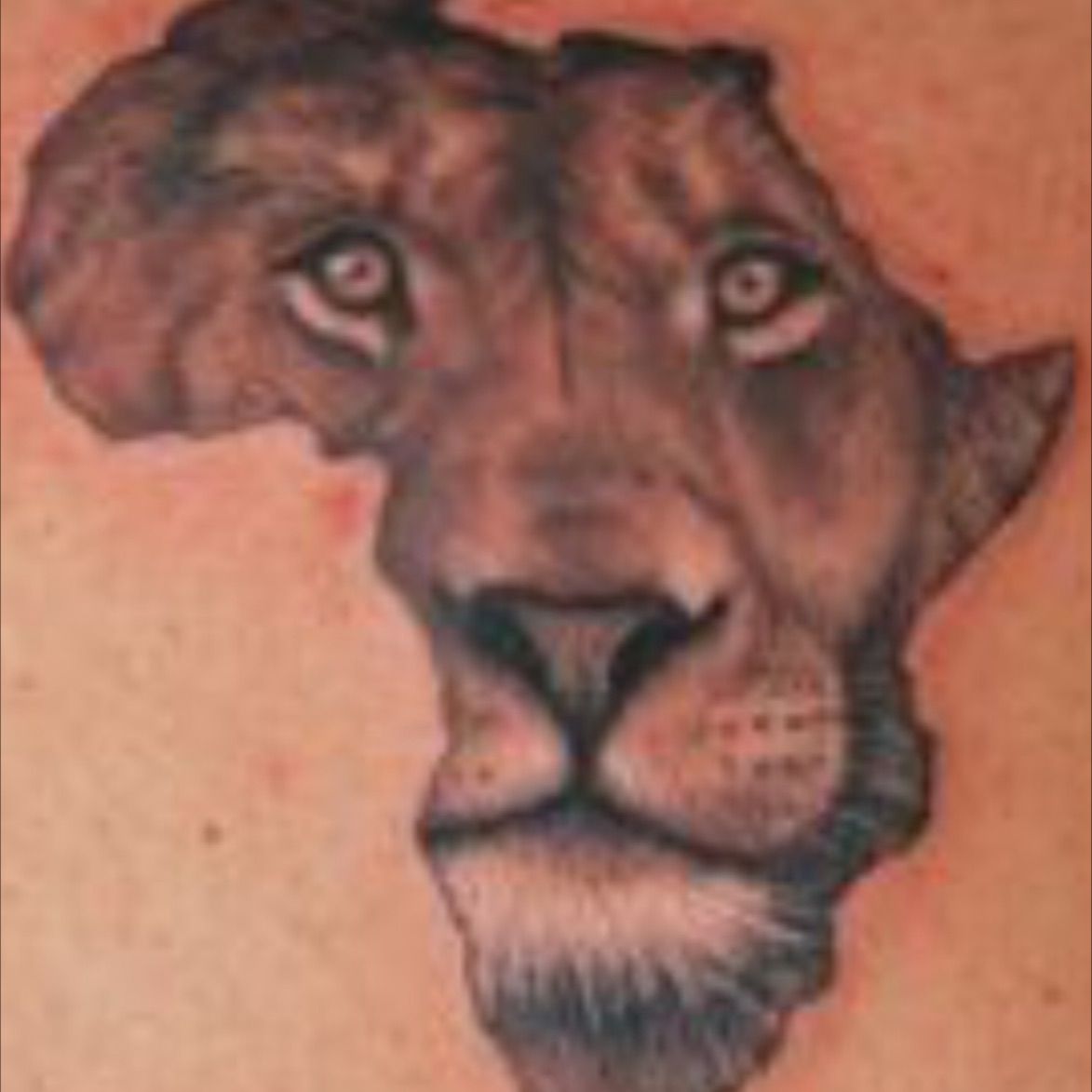 Tattoo uploaded by Ashalon Jupiter • Tattoodo