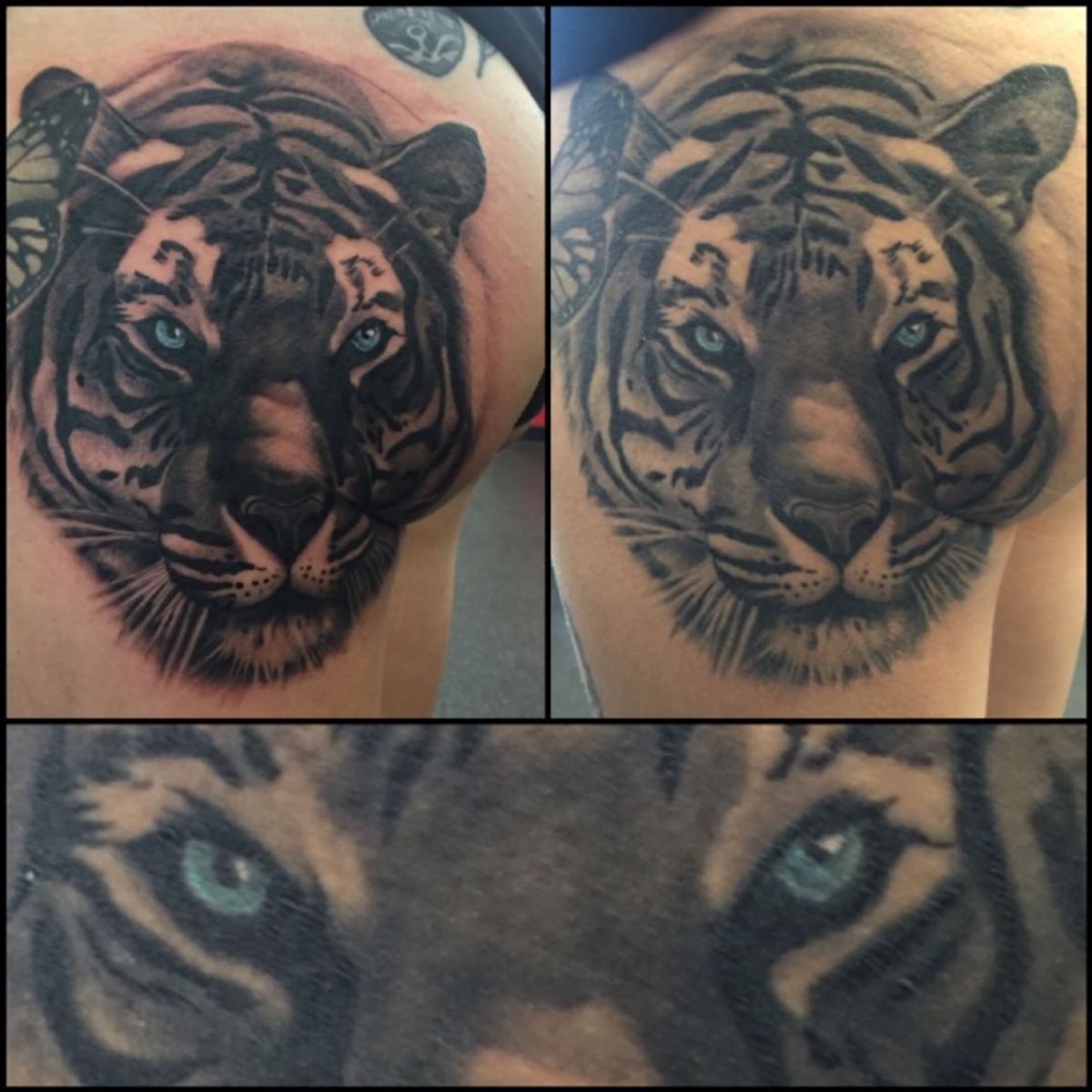 Tattoo uploaded by Zak Khanat • All healed #tattoo #healedtattoo #blackandgreytattoo # ...