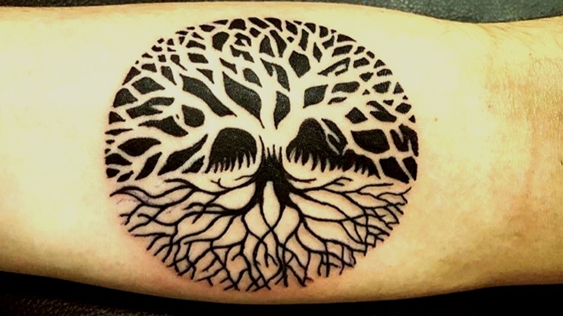 Tattoo uploaded by Joan Andreu • Tree of life #tree #treeoflife • Tattoodo