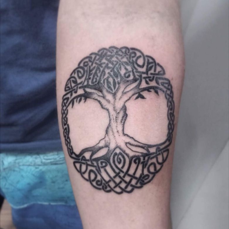 Celtic Tree Of Life Tattoo Ribs