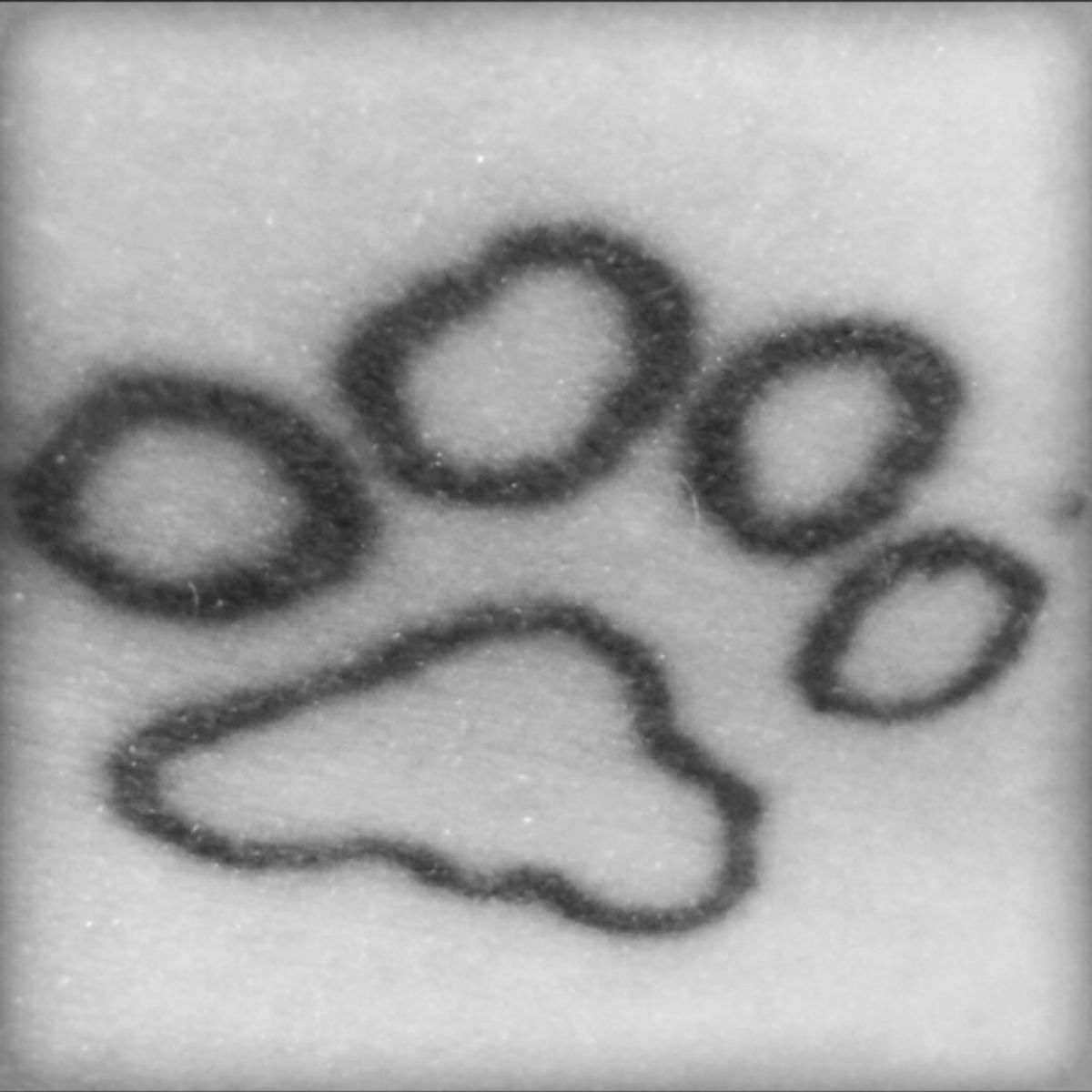 Tattoo uploaded by Nat • My clawless wolf print #wolf #pawprint # ...