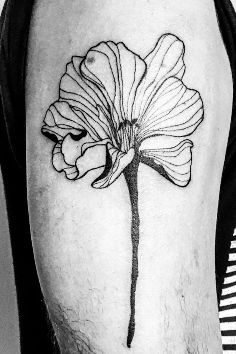 Tattoo uploaded by Marcel Serrano • #gerânio #geranium #tropicaltattoo ...