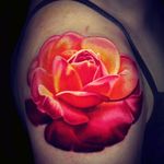 Tattoo uploaded by Tara • Artist Jamie Schene #flowers #sleeve # ...