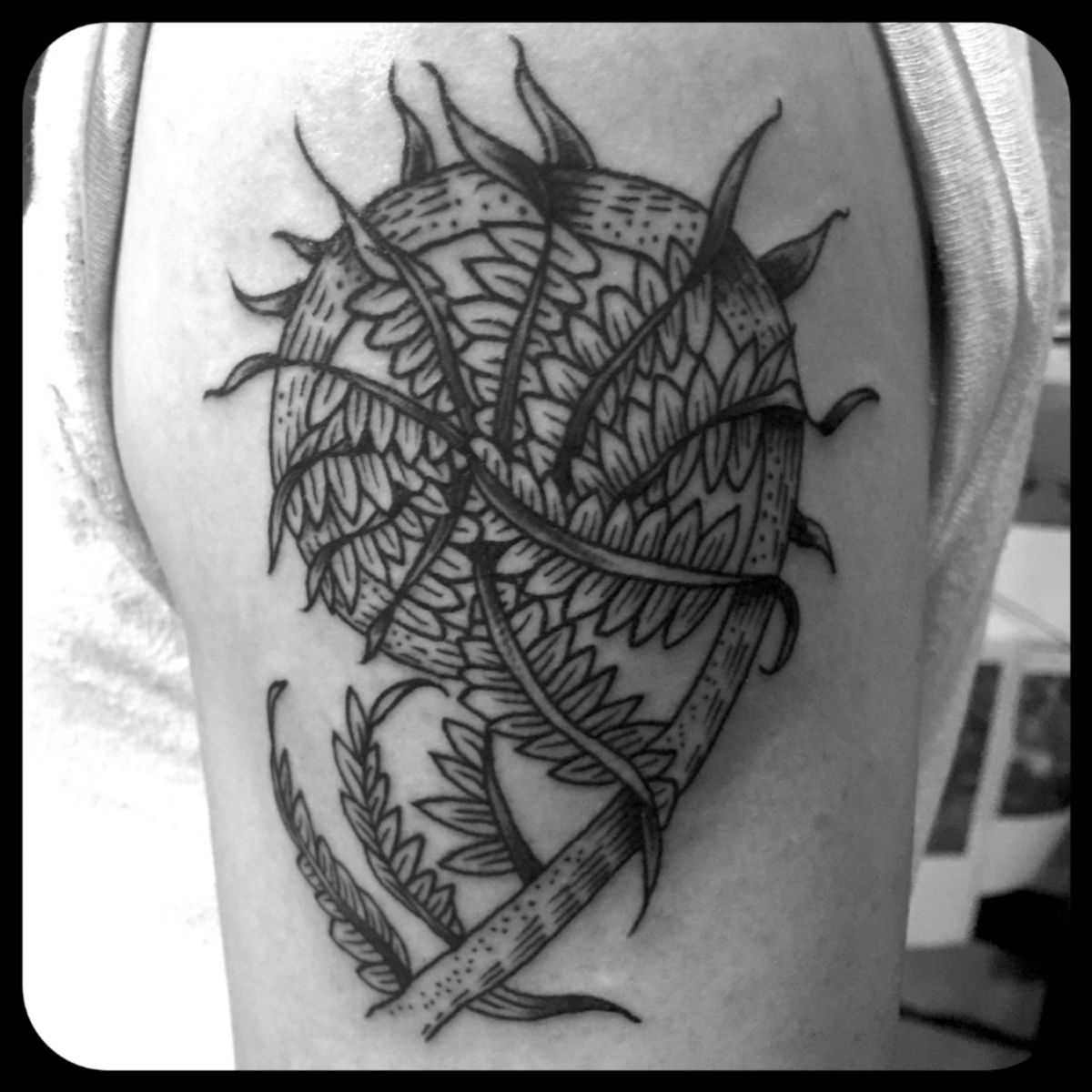 Tattoo uploaded by Joe Dakin • Fibonacci fern #goldenratio • Tattoodo