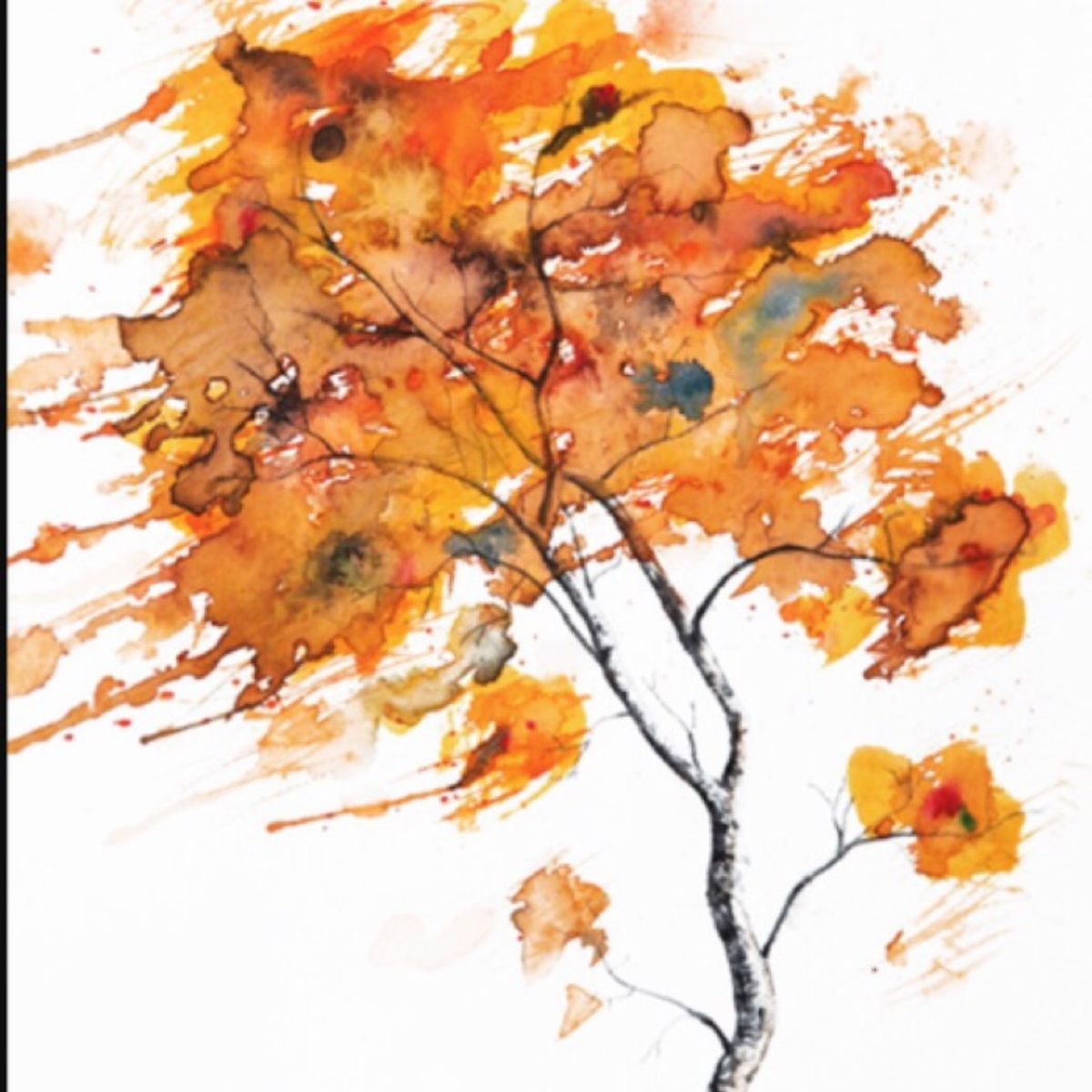 Tattoo uploaded by Sara Hering Mullens • #megandreamtattoo • Tattoodo