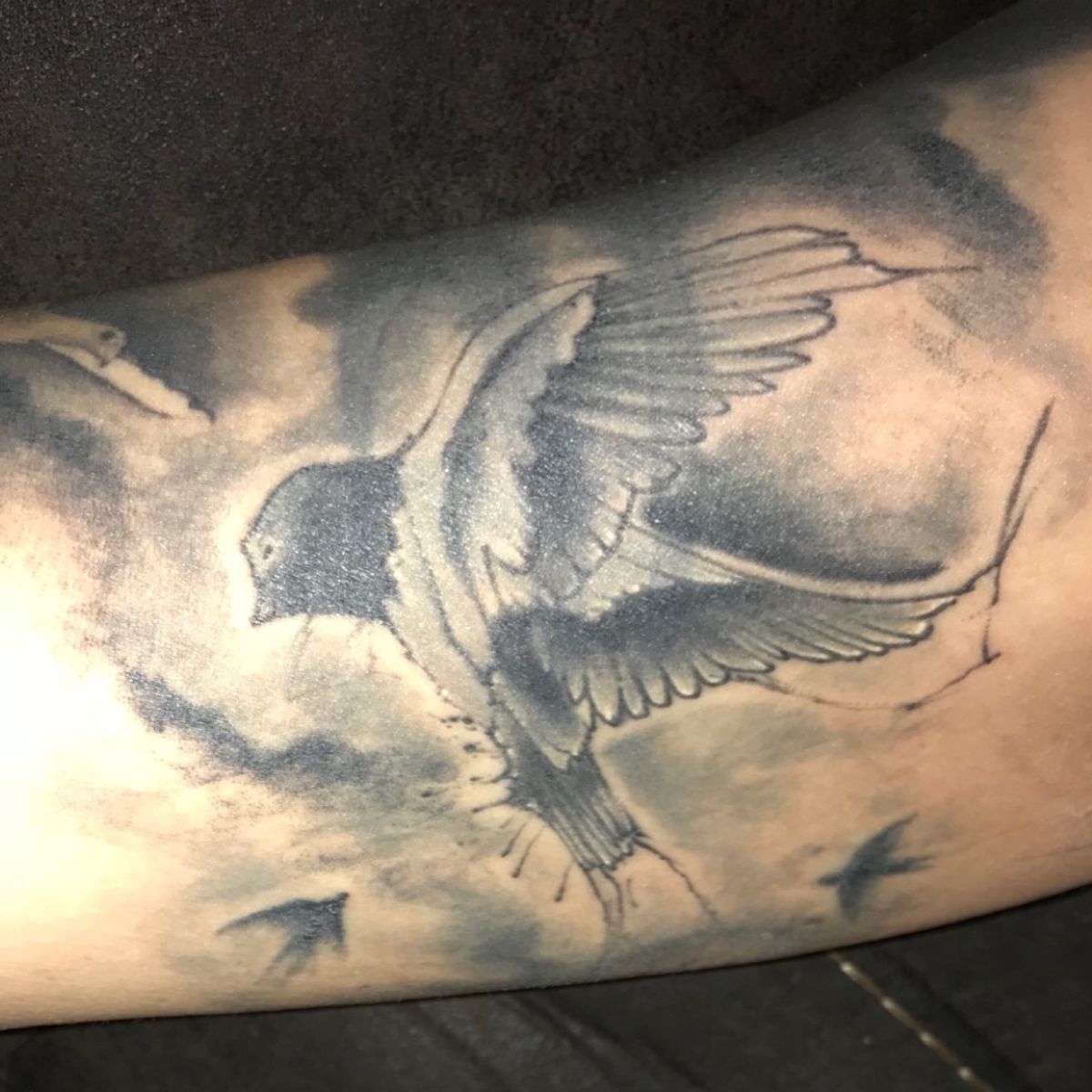 Tattoo uploaded by Brian Jones • Inside my bicep. #coverup #bird • Tattoodo