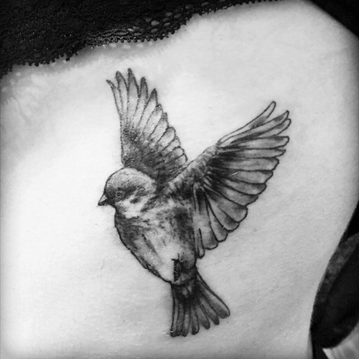 Tattoo uploaded by Judit • First tattoo. #bird #side #ribs #firsttattoo ...