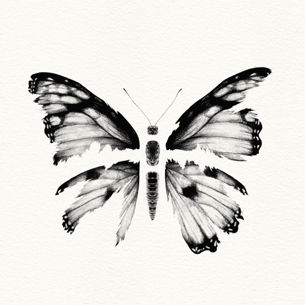 Casey Kirsch • Tattoo Artist • Book Now! • Tattoodo