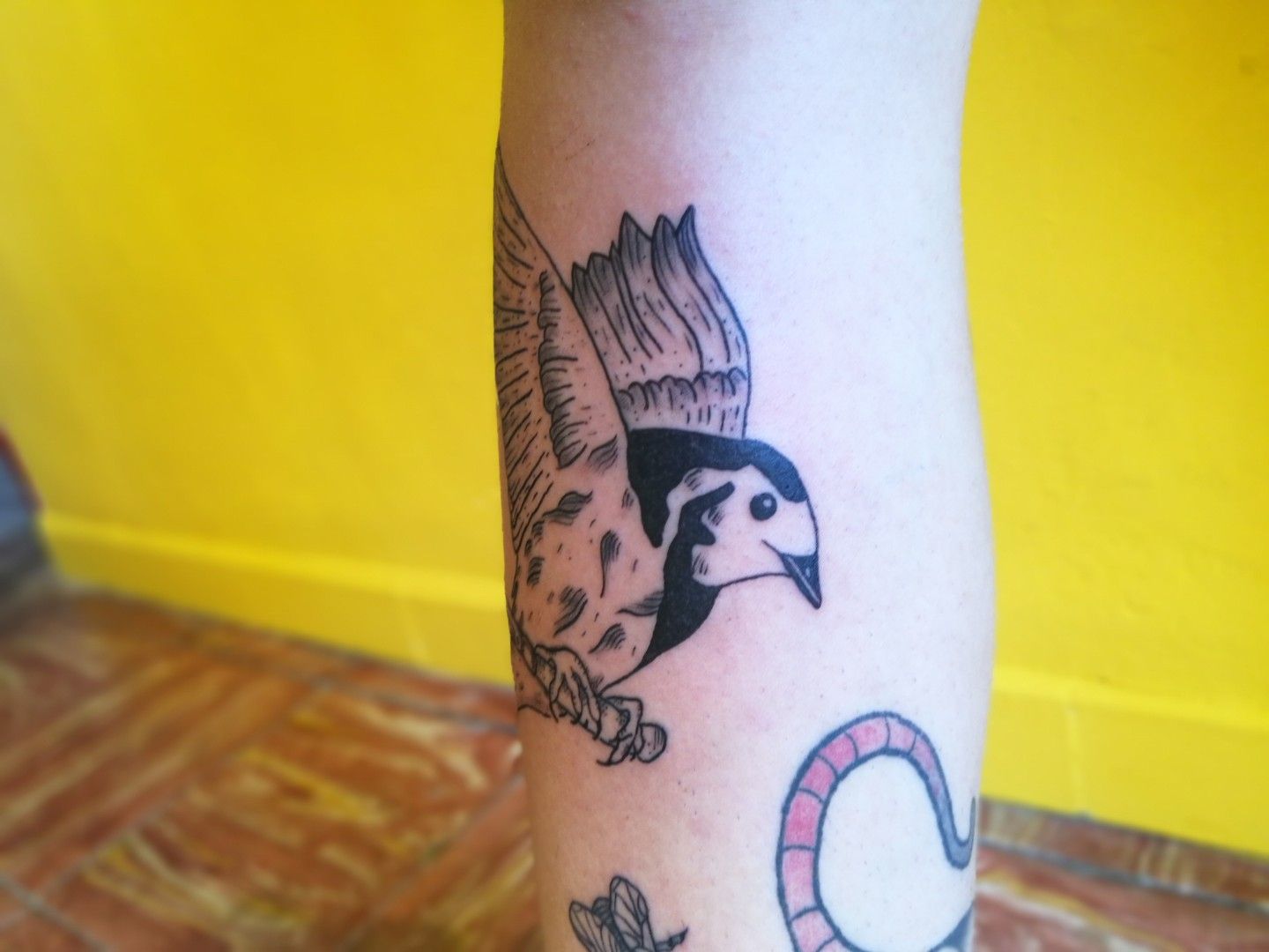 Yami You • Tattoo Artist • Tattoodo