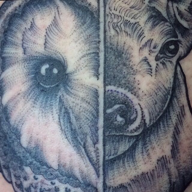 Aimee • Tattoo Artist • Tattoodo