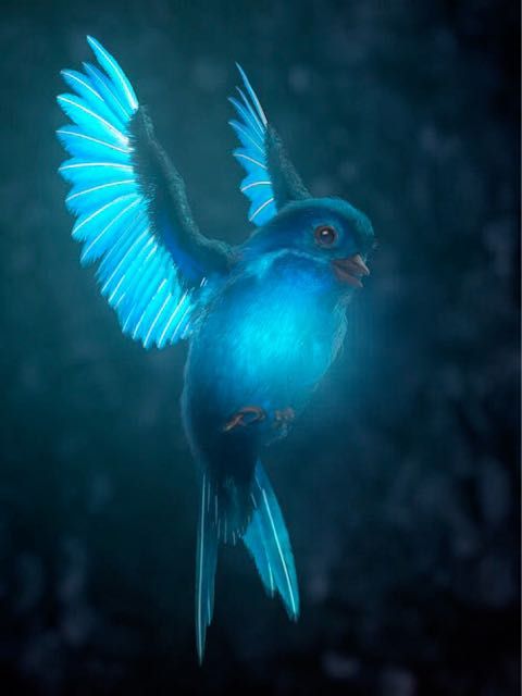 Vincent Dompierre • Tattoo Artist • Tattoodo