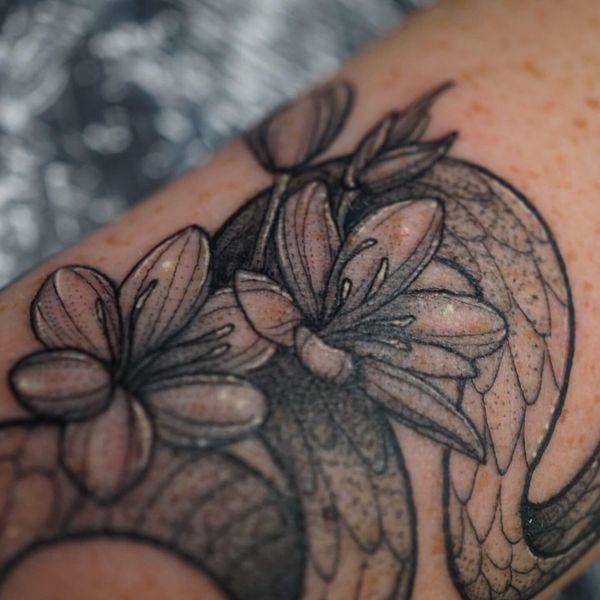 Kate • Tattoo Artist • Tattoodo