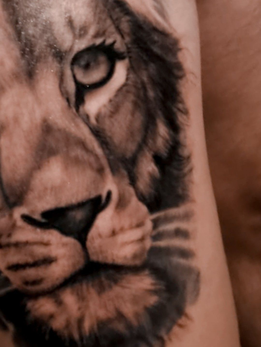 Abel Real Tattoo • Tattoo Artist • Tattoodo