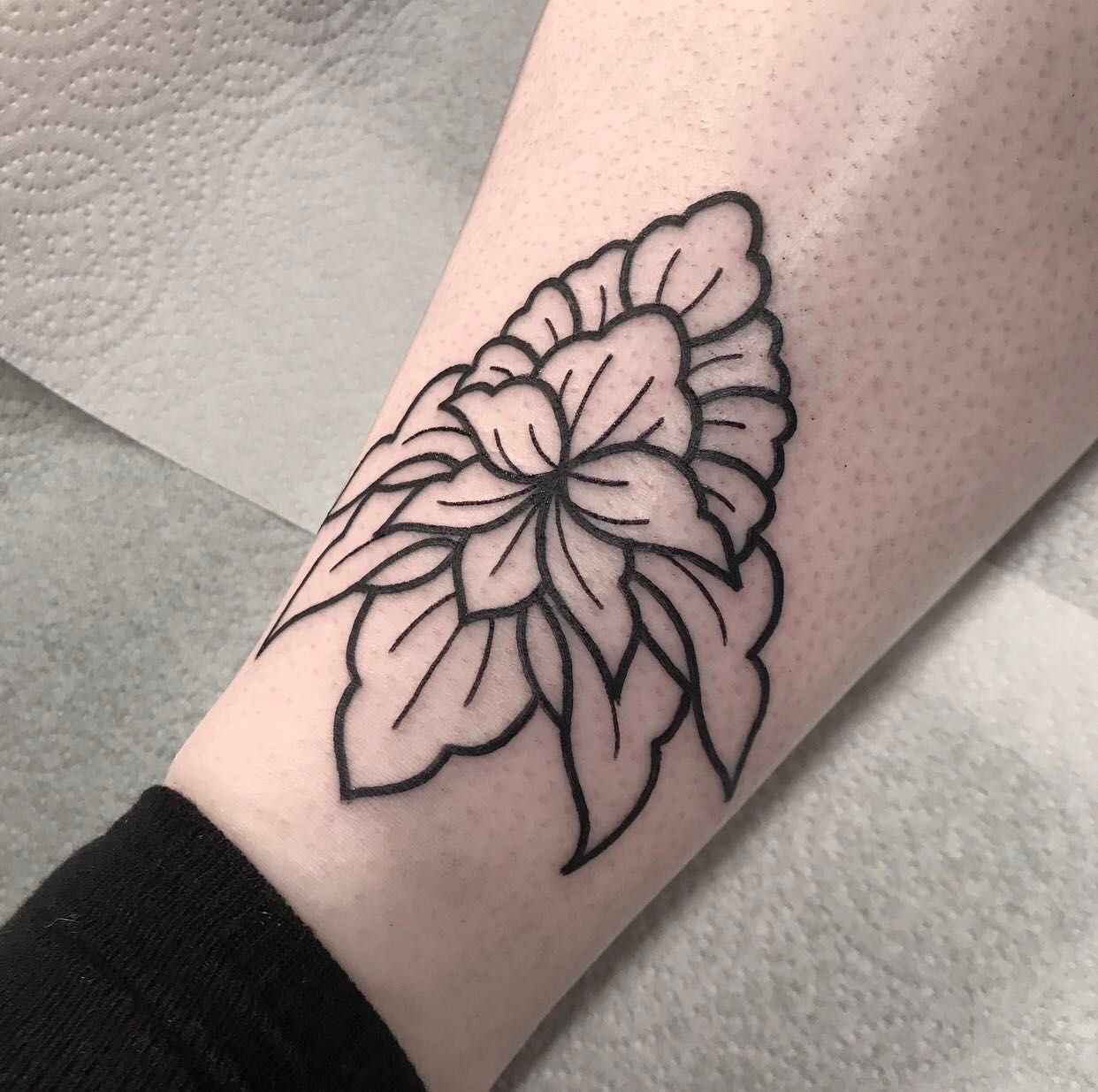 Shona • Tattoo Artist • Tattoodo