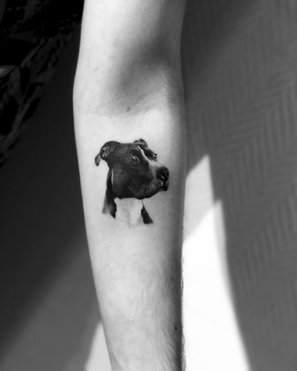 Alexis • Tattoo Artist • Tattoodo