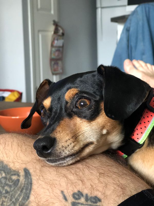 Nathan Draper • Tattoo Artist • Tattoodo