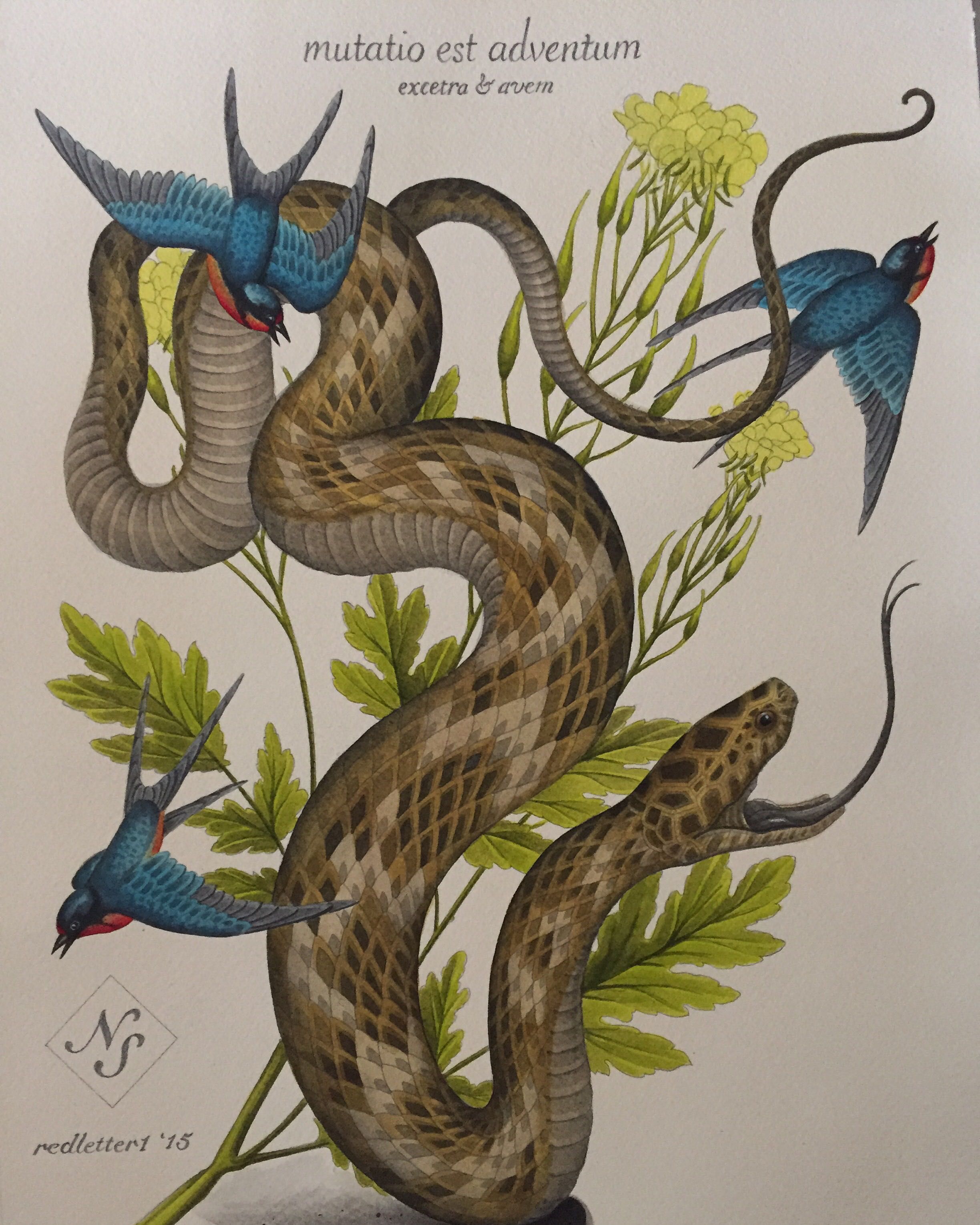 Nick Stegall • Tattoo Artist • Book Now • Tattoodo