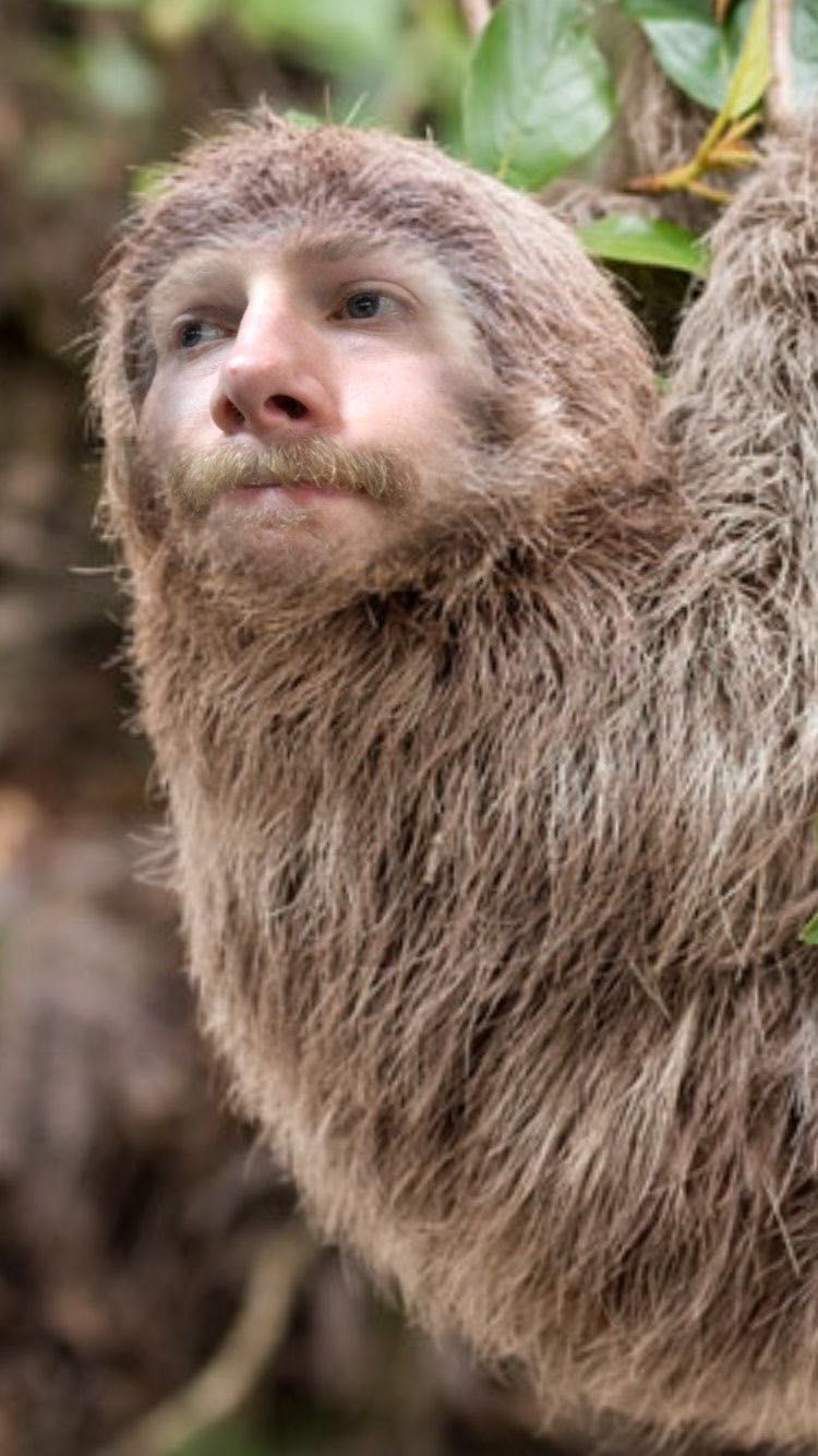 Thomas carton • Tattoo Artist • Book Now • Tattoodo