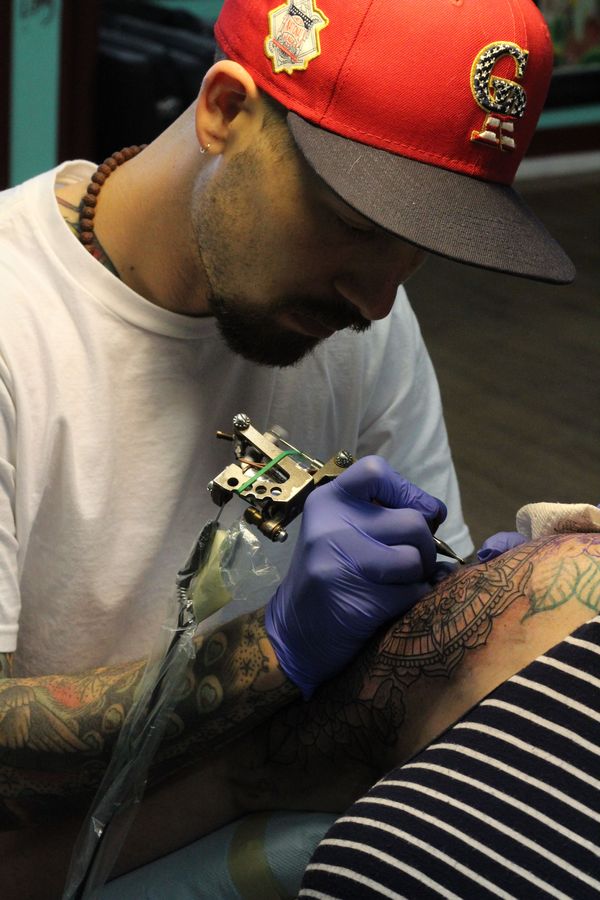 Haley McMahon • Tattoo Artist • Tattoodo